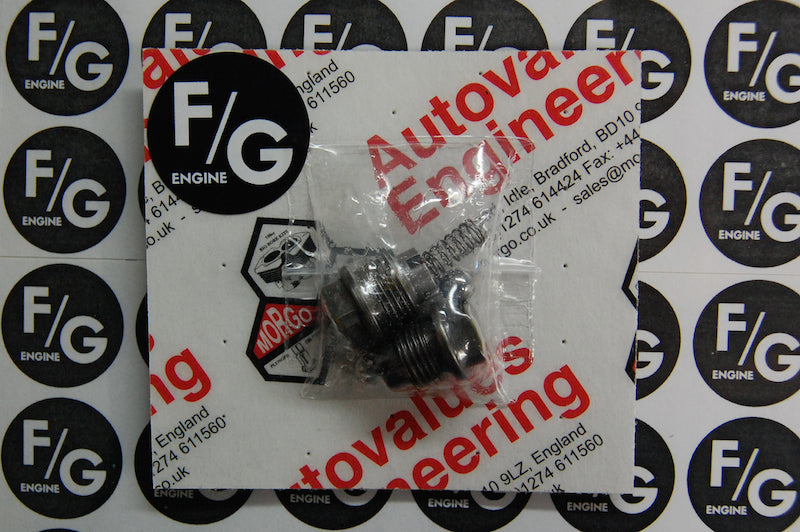 Morgo Plunger pump rebuild kit – Franz and Grubb Engine